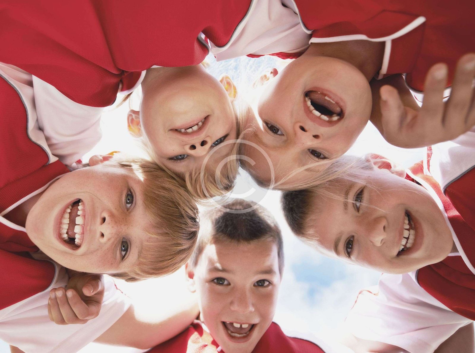 Football - The Aryan School